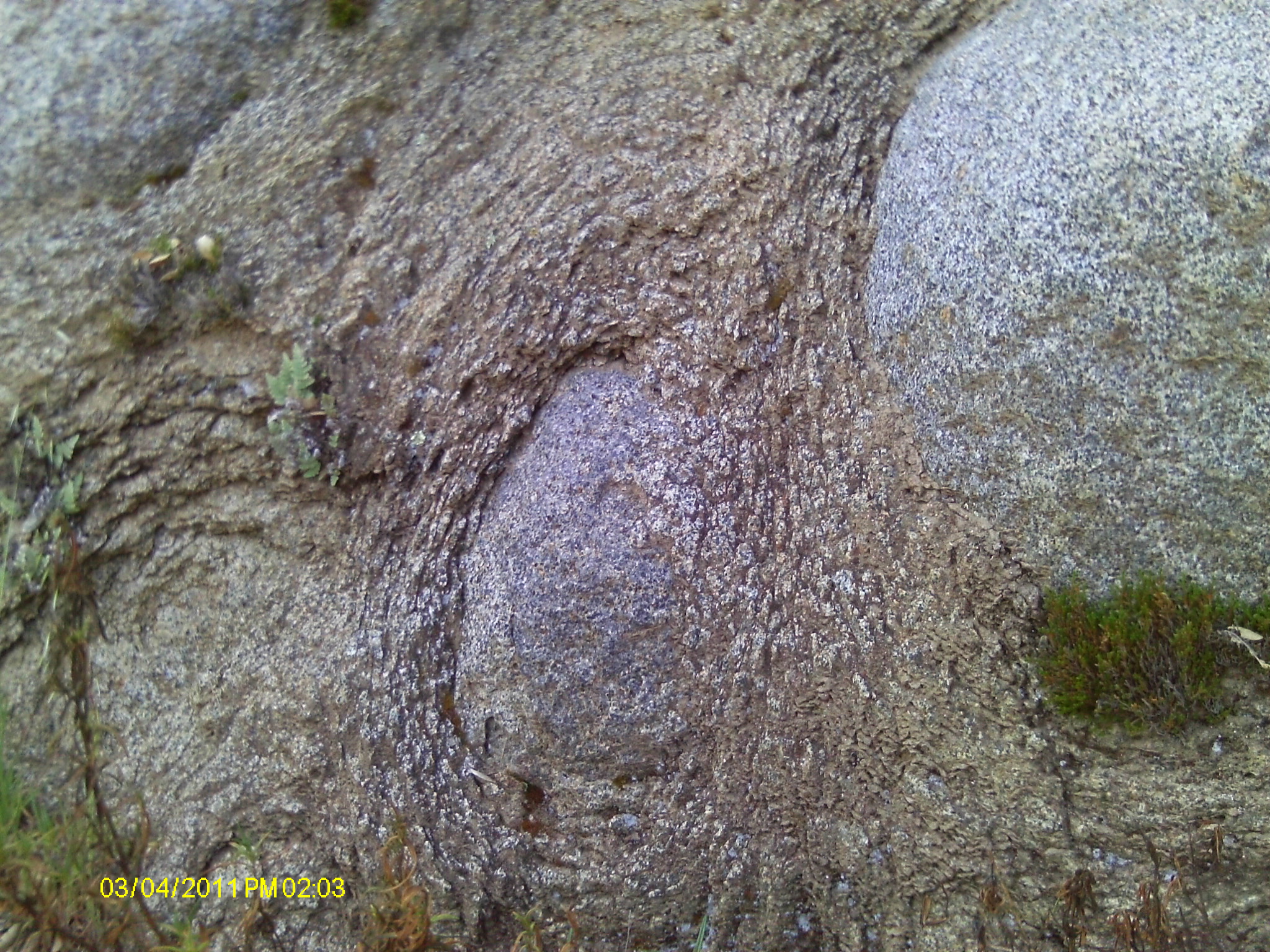 Hiking the Santa Margarita River – Finch Frolic Garden Permaculture