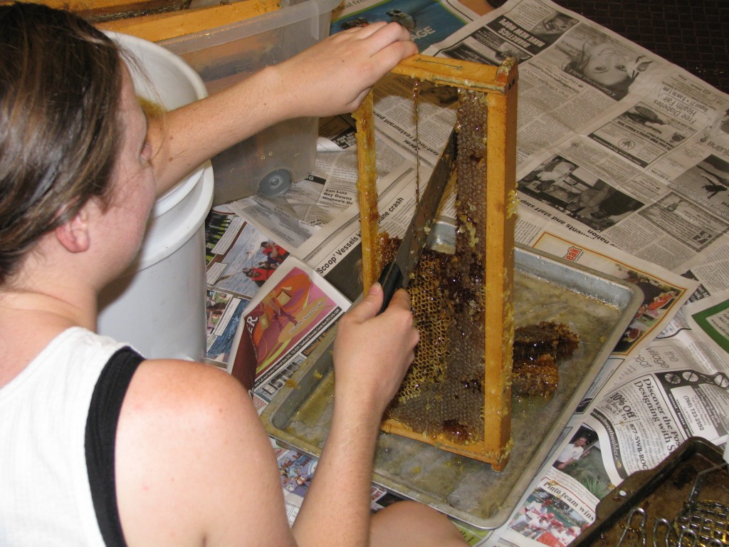 Honey Extraction by Crushing Comb – Finch Frolic Garden Permaculture