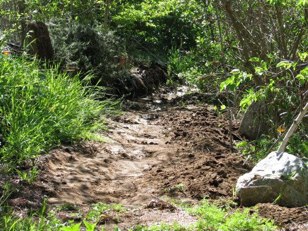 Using Pathways For Rain Catchment – Finch Frolic Garden Permaculture
