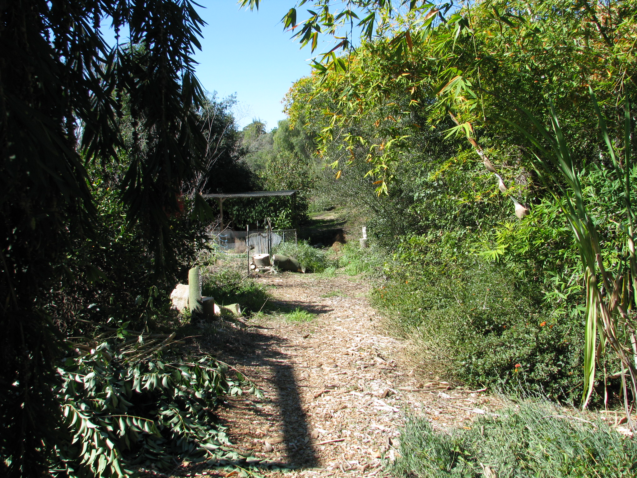 Using Pathways For Rain Catchment – Finch Frolic Garden Permaculture
