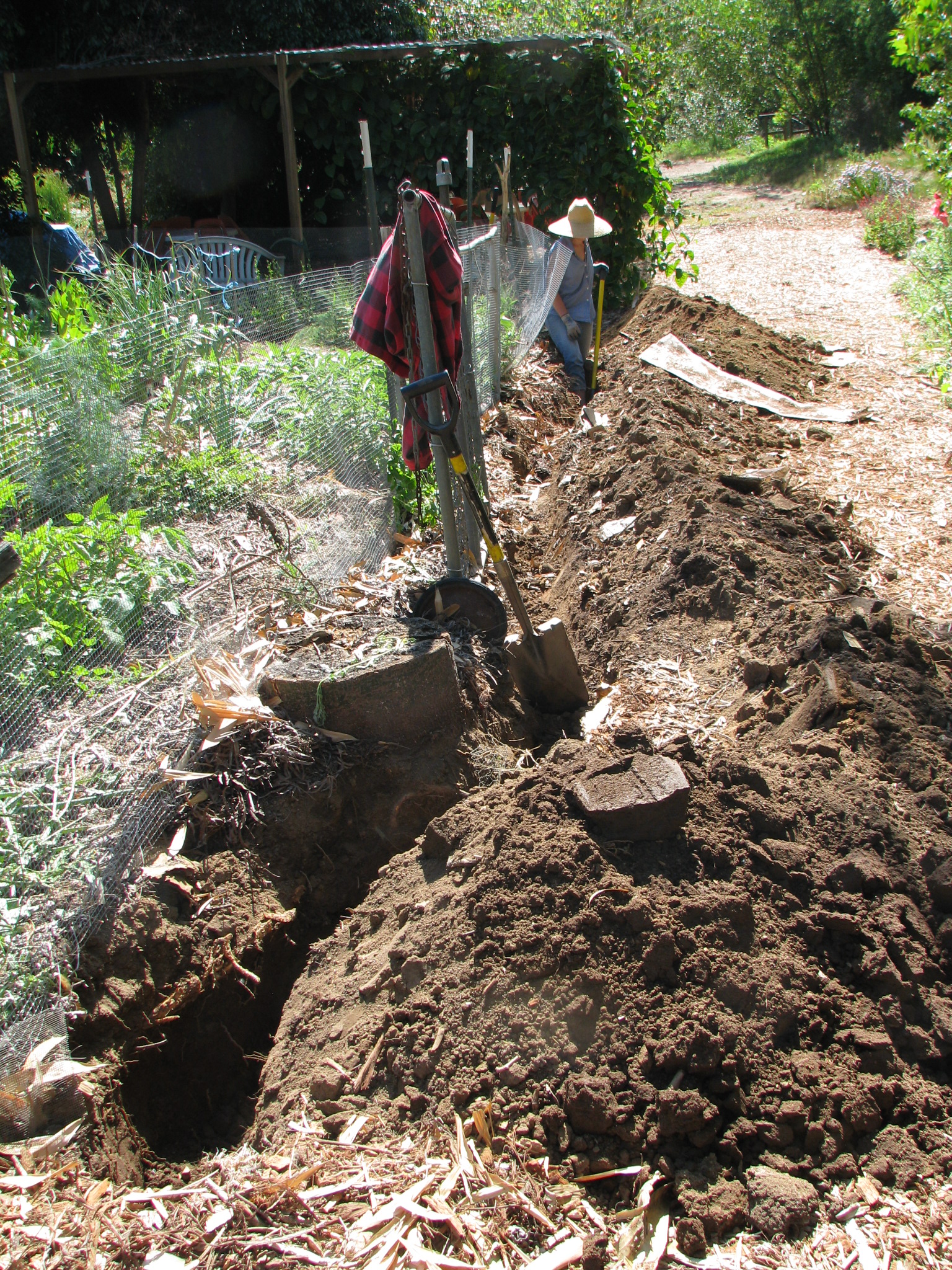Year of the Gopher – Finch Frolic Garden Permaculture