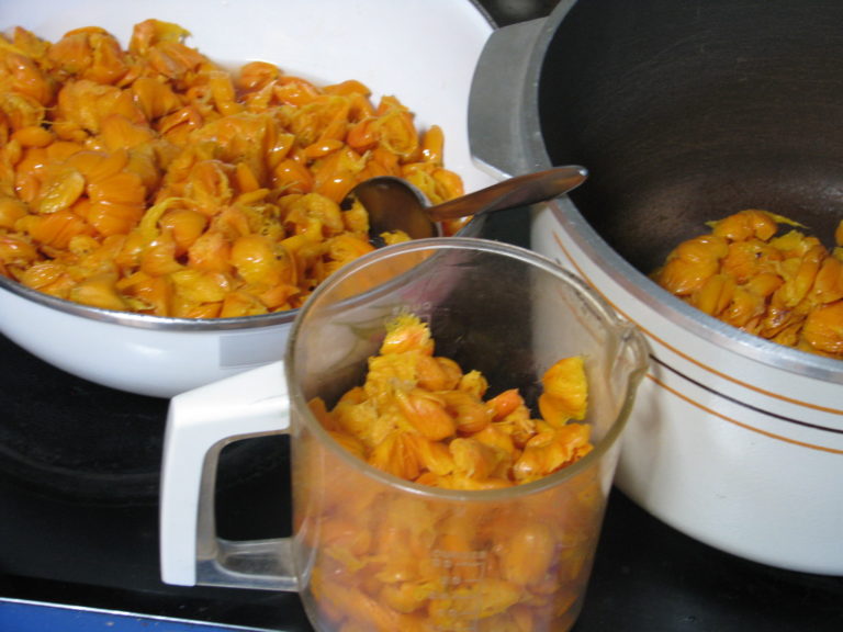 Adventures with Fruit: Pindo (Jelly) Palms – Finch Frolic Garden ...