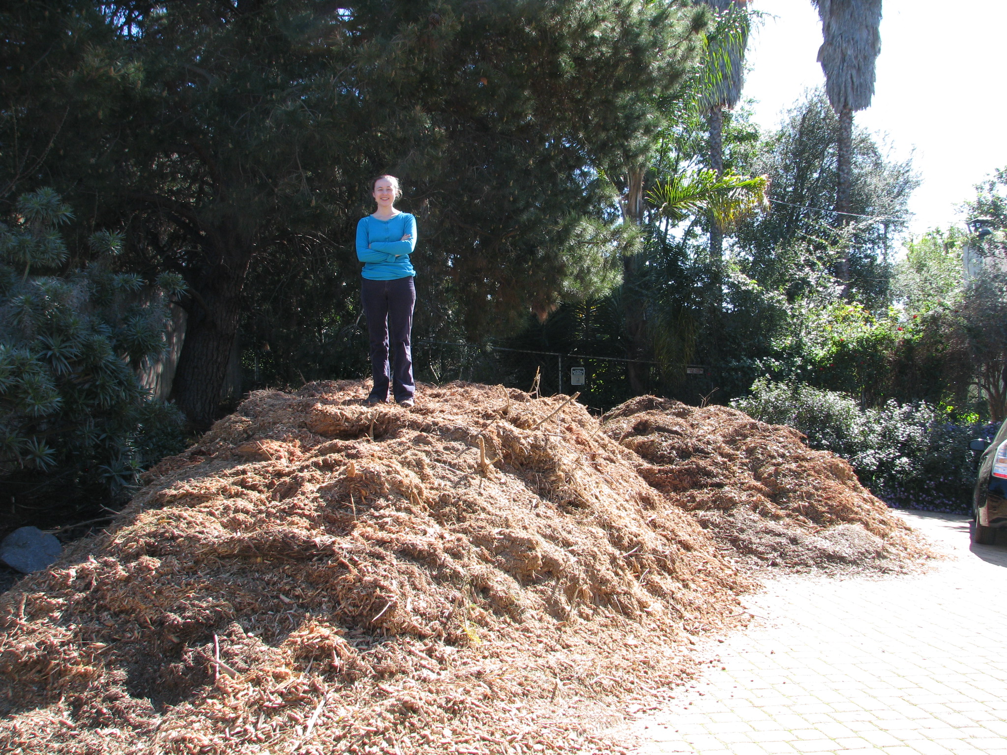 Sun-dried Produce | Finch Frolic Garden Permaculture