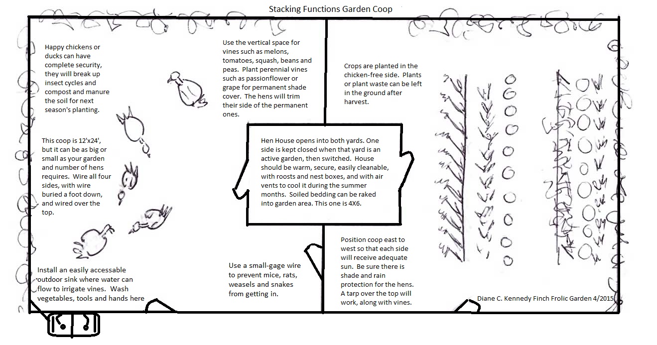 A Garden Coop – Finch Frolic Garden Permaculture